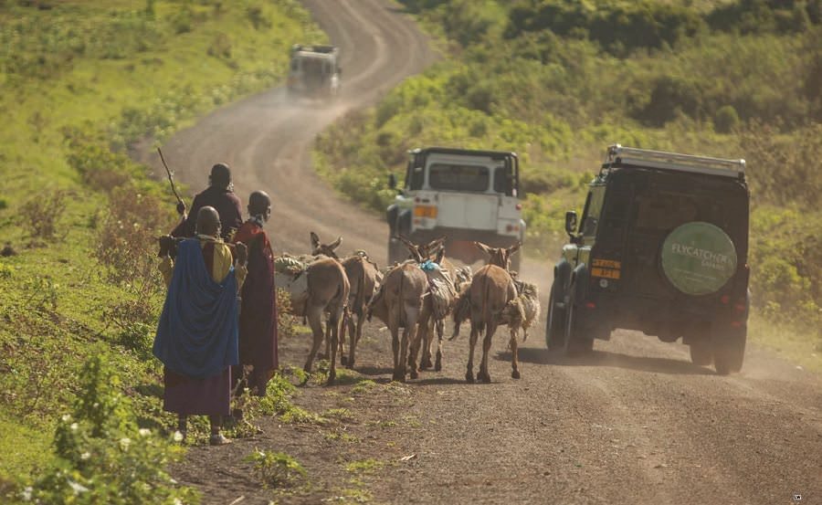 Jump In The Name Of Landy! - Read this story on Magzter.com