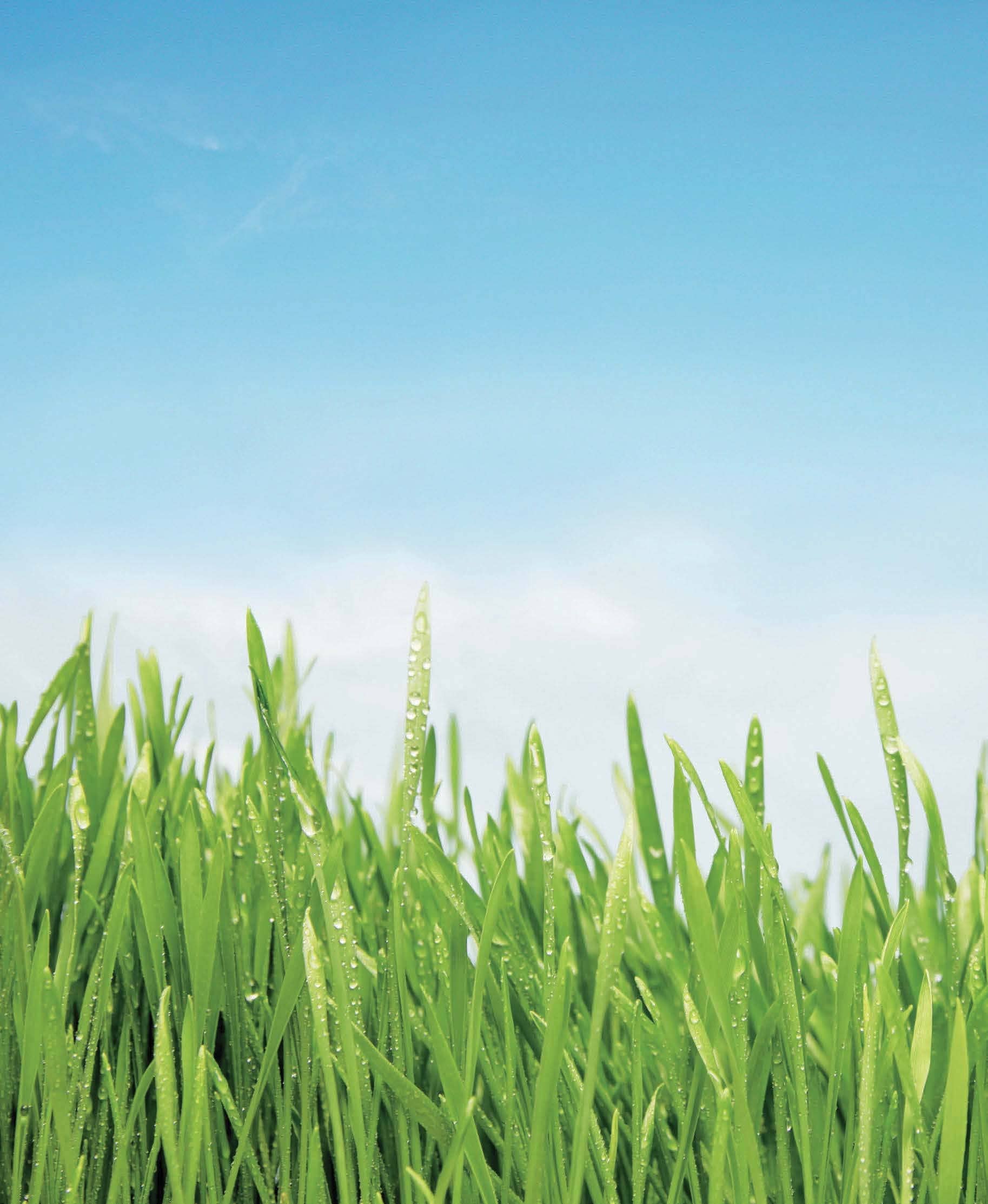 Grass-Roots Movement | Golf Magazine - Sports - Read this story on ...