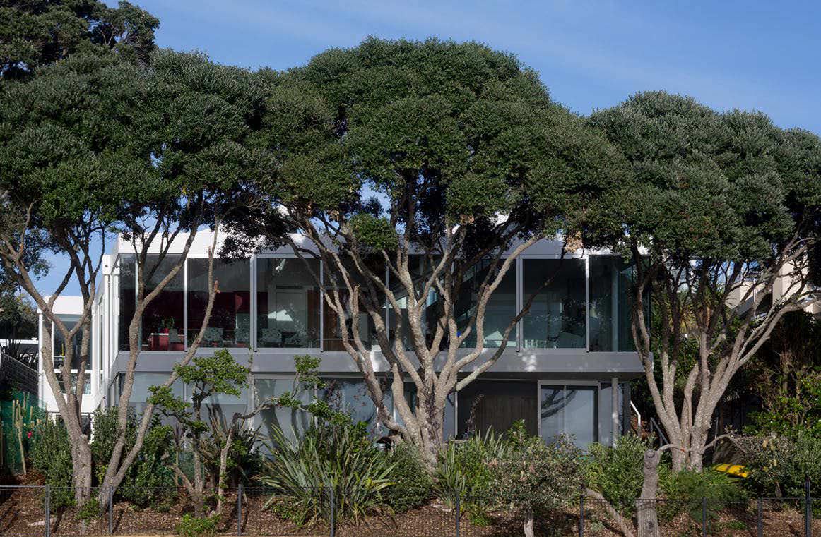 Pete Bossley Has Designed A House That Floats Among The Pōhutukawa On ...