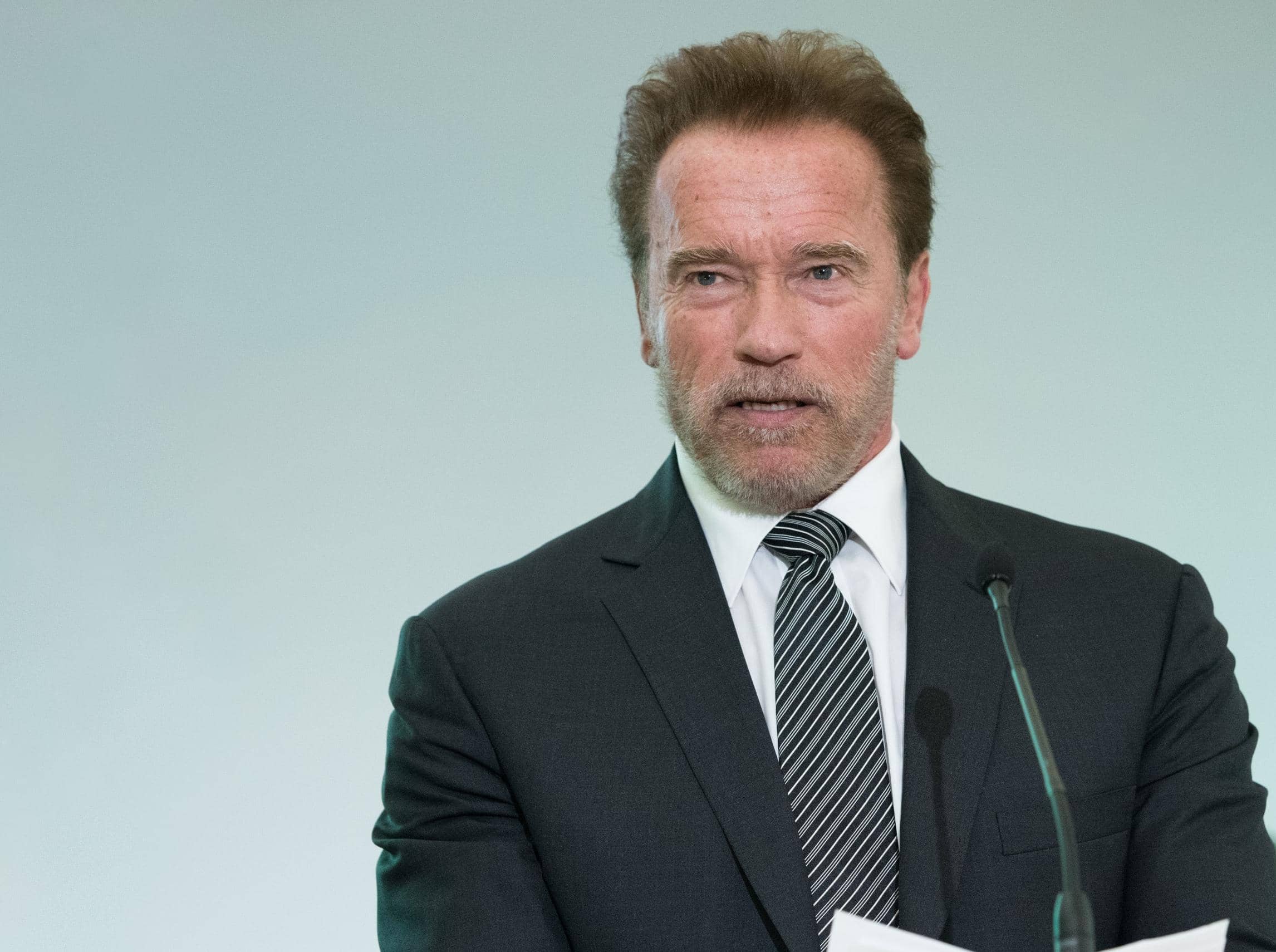 The World's Strongest Man : The Story of Arnold Schwarzenegger | FHM ...