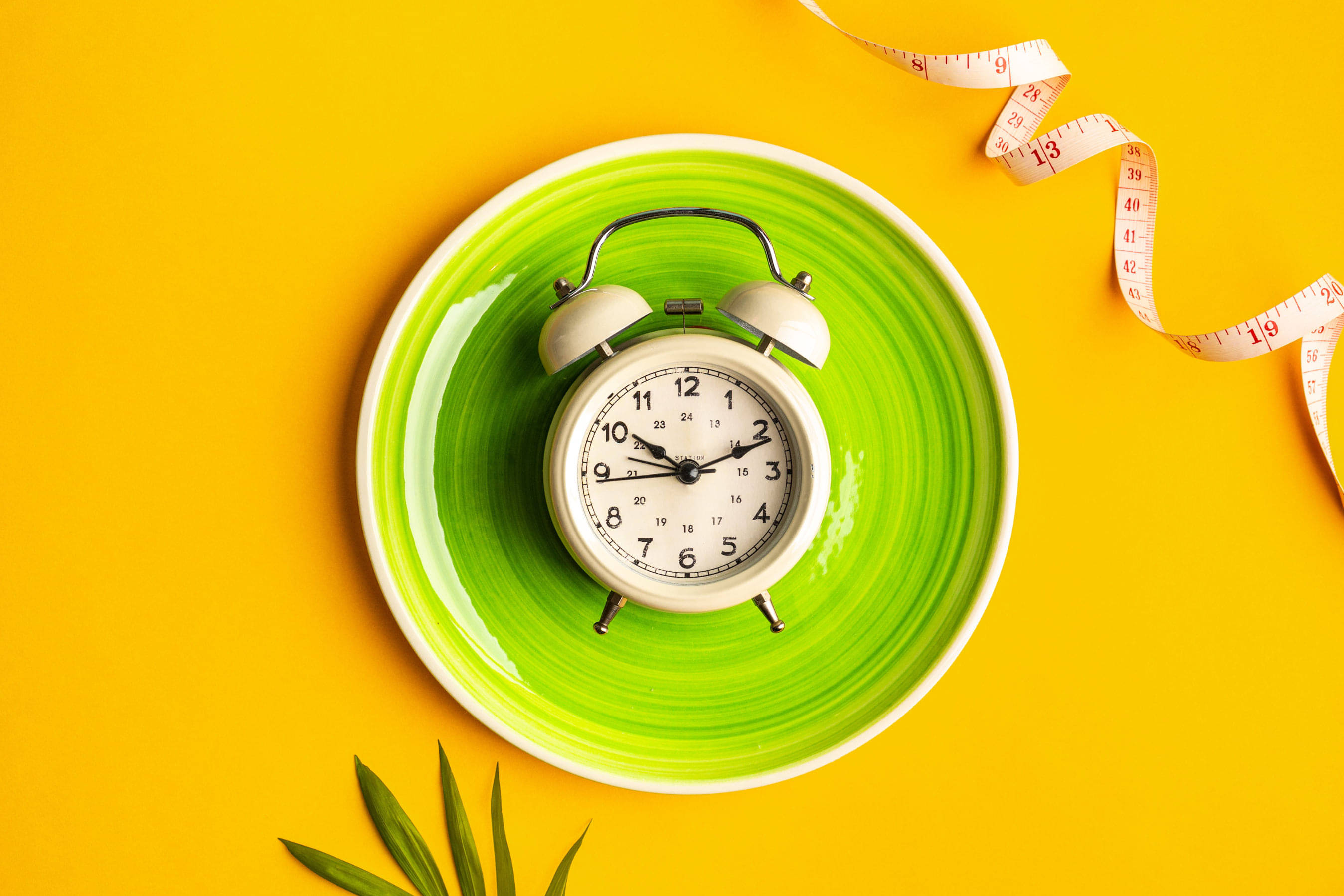 Meal Timing
