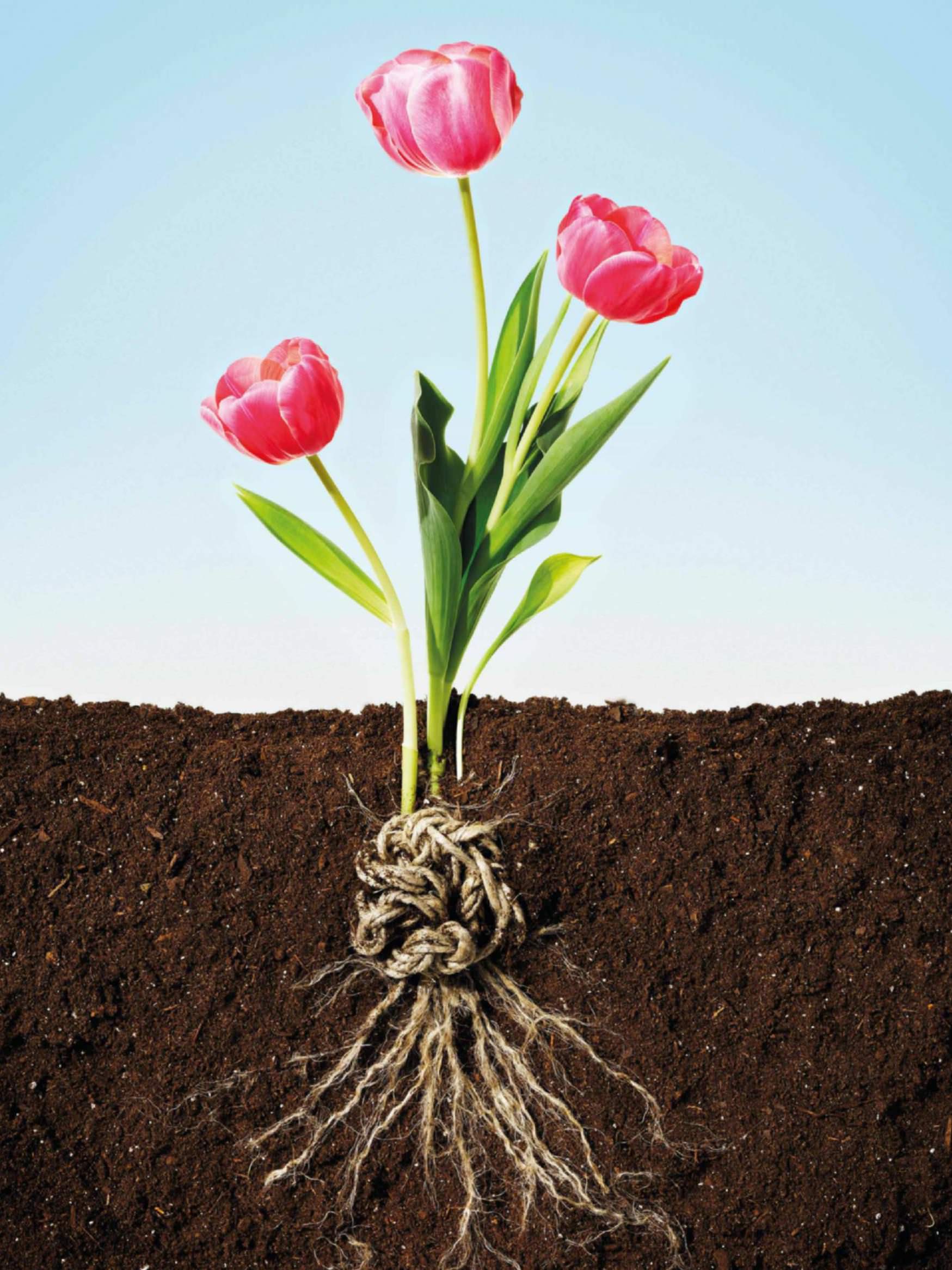 How To Convert Fretful, Uneasy Feelings Into Positive Power! | Shape ...
