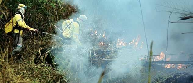 African Forest Fires In Spotlight After Amazon Outcry | Millennium Post ...