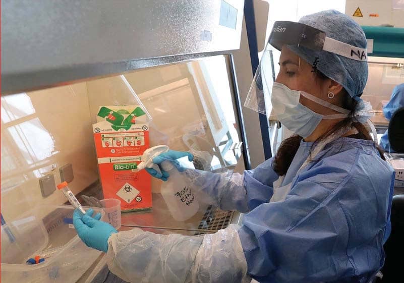 Boris: We'll Be World-Beaters At Track And Trace | Daily Express ...