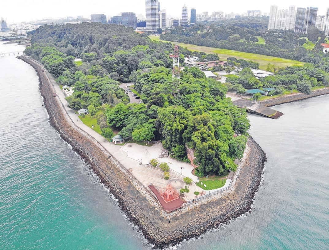 Coastal forest at southern waterfront to be restored - Read this story ...
