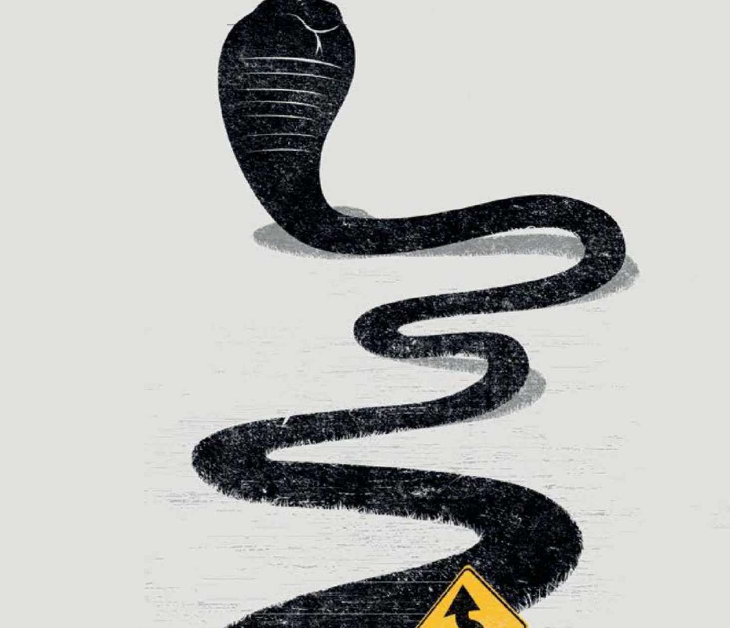 Swerve Away To Safety