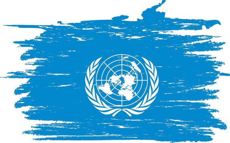 A Cancer In The U.N.S Corridors | Newsweek - Business - Read this story ...