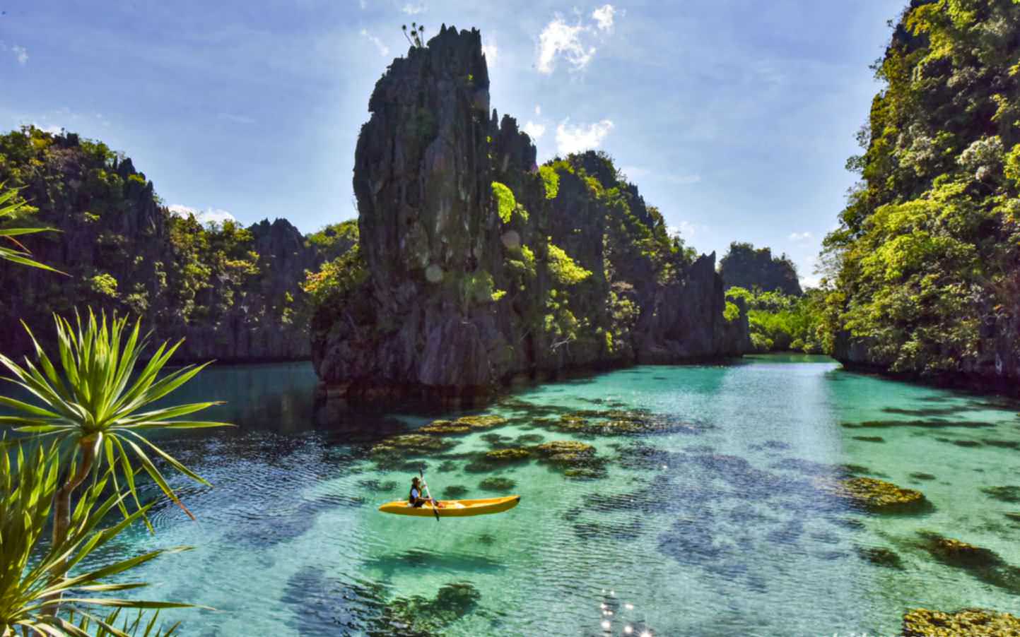 Discover Palawan