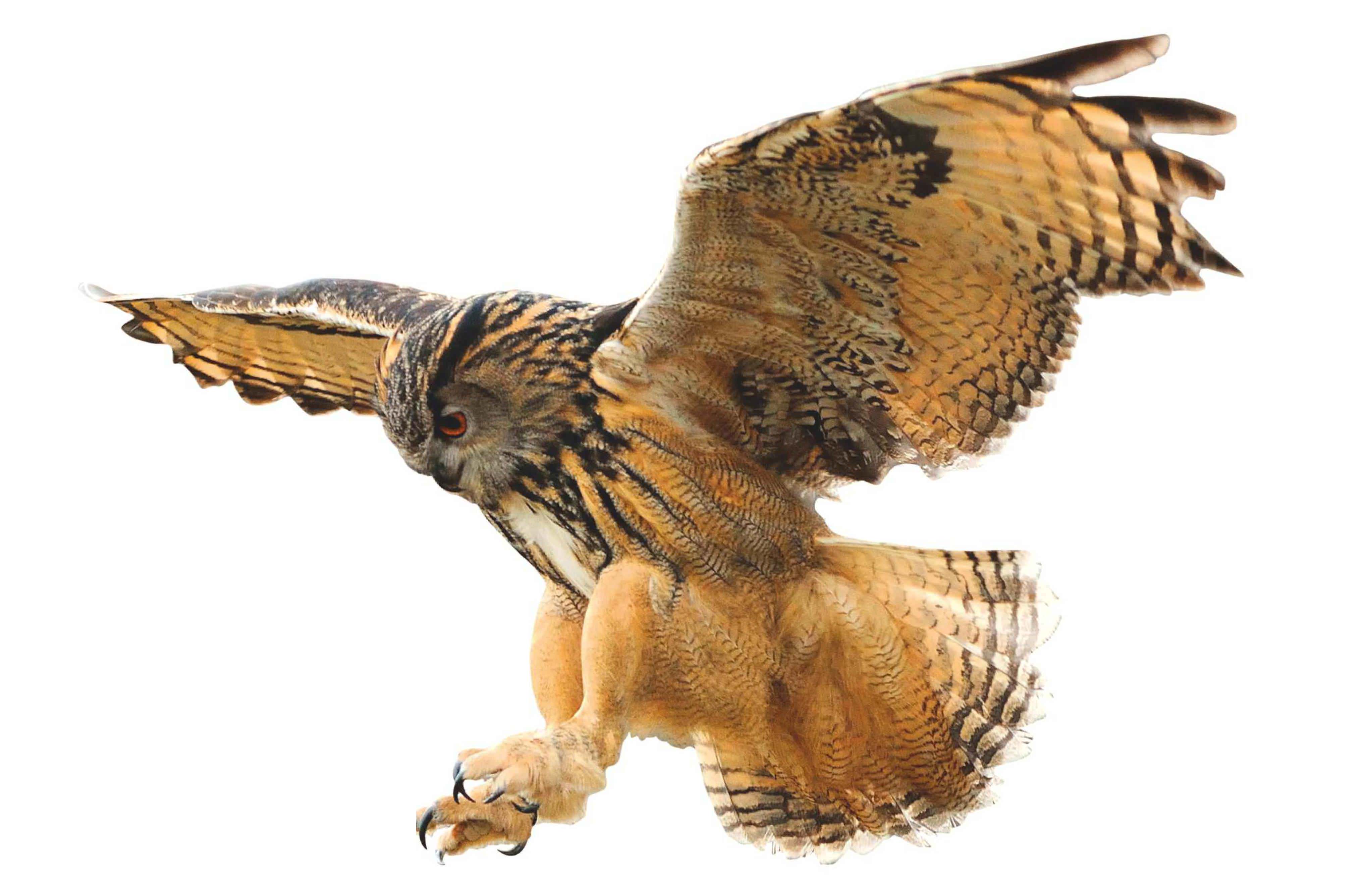 The Aliens Have Landed