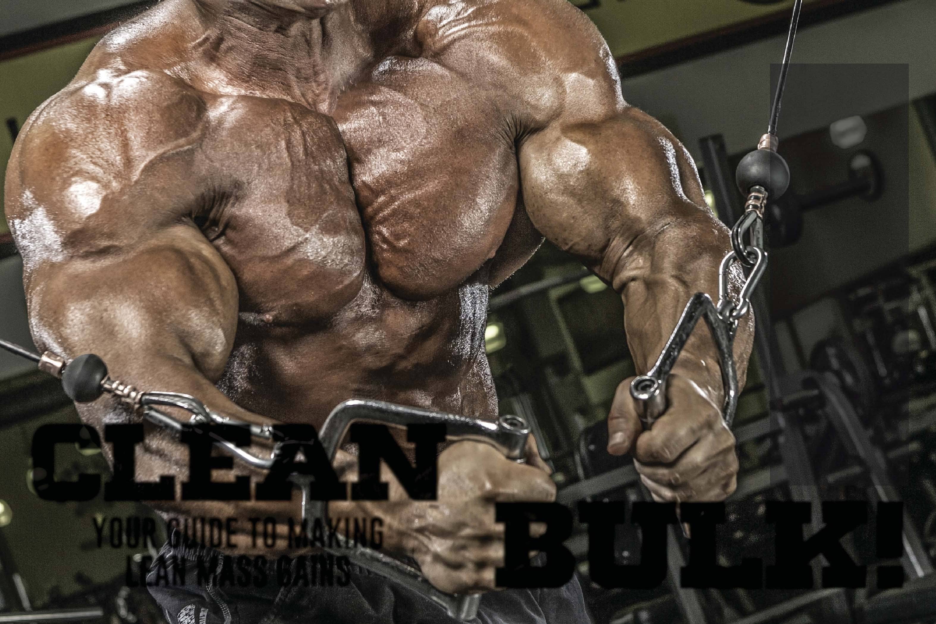 CLEAN BULK CLEAN BULK