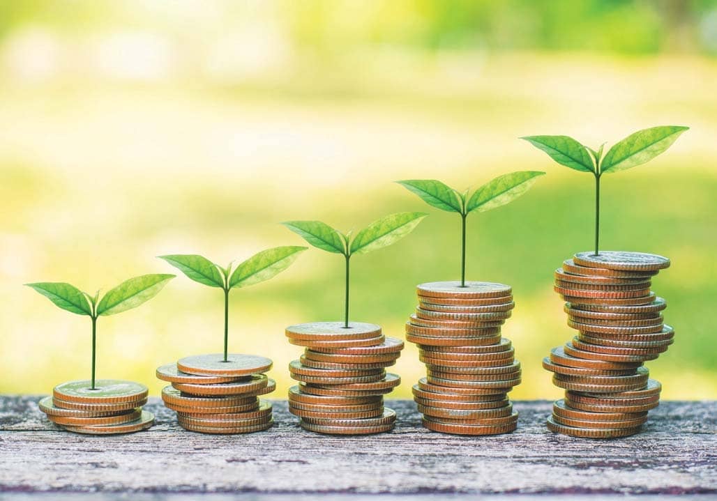 The Role of Green Budgeting Some Global Approaches | TerraGreen - News ...