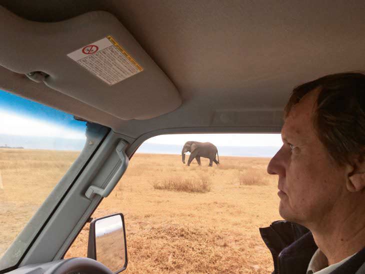 The Ivory Game | The Economist - Business - Read this story on Magzter.com