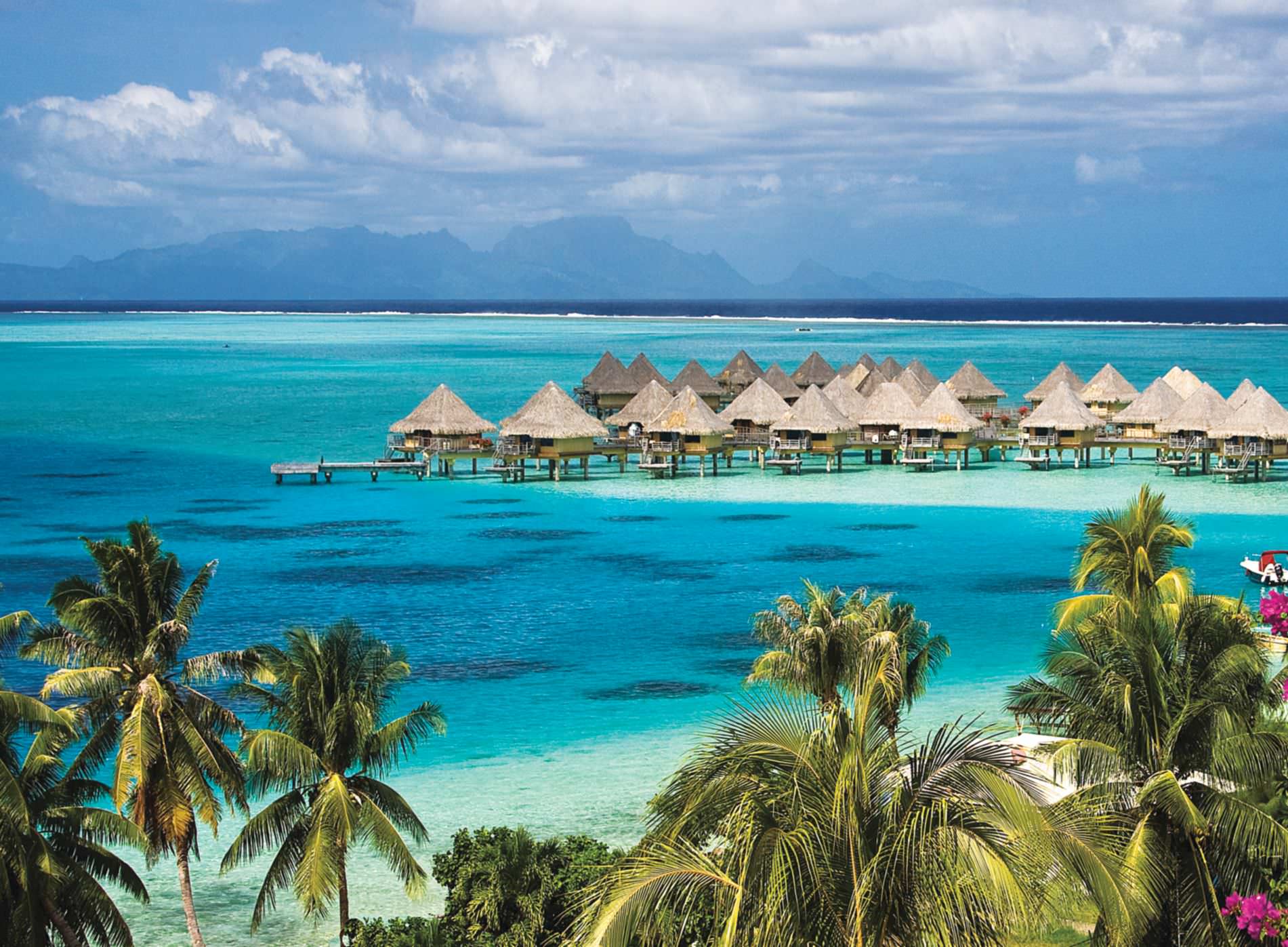 Mmm Mmm Marina! | Porthole Cruise Magazine - Lifestyle - Read this ...