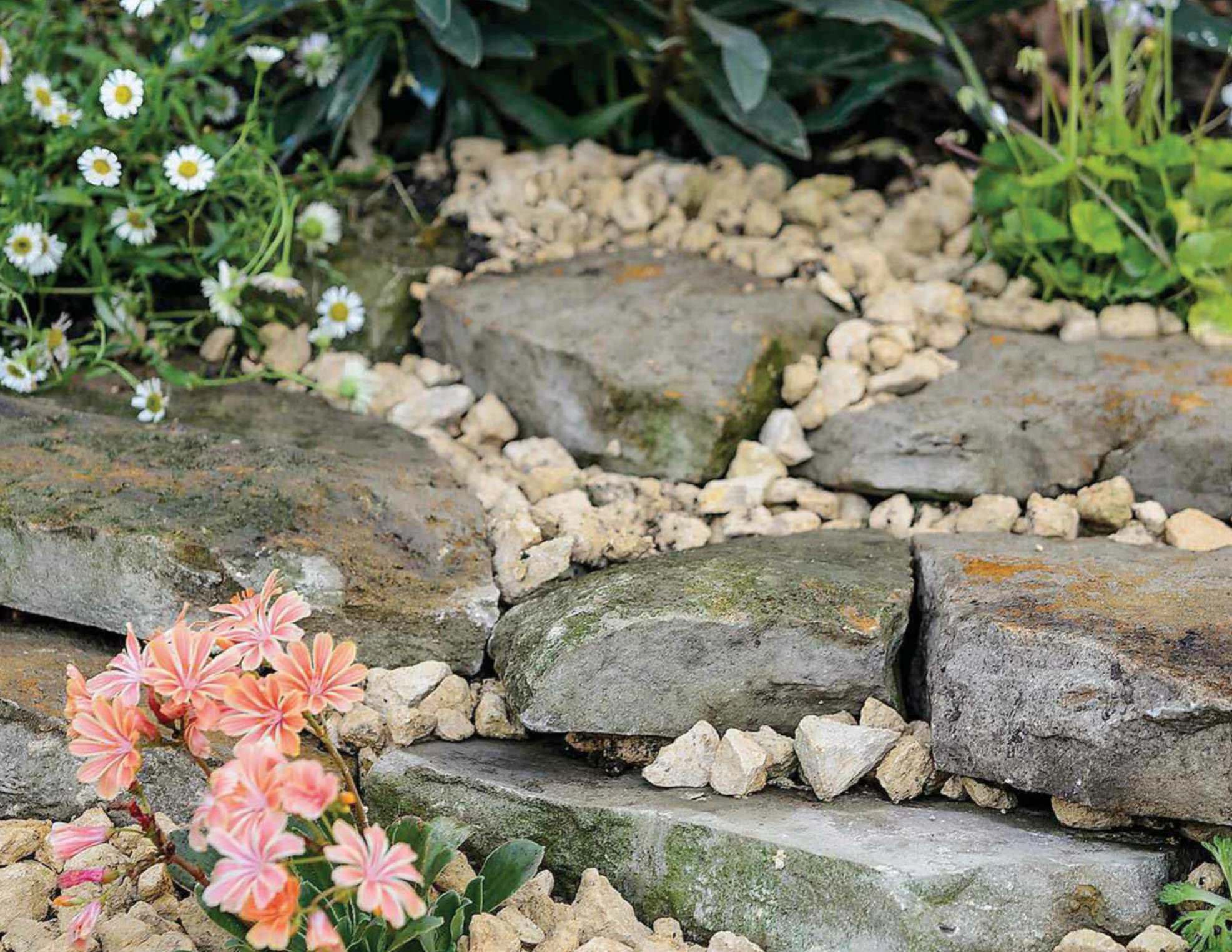 A Wildlife Rock Basking Area