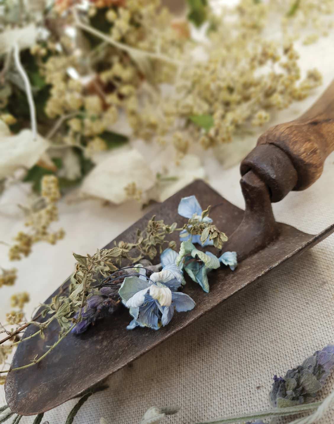 Saving Summer | The Gardener - Home - Read this story on Magzter.com