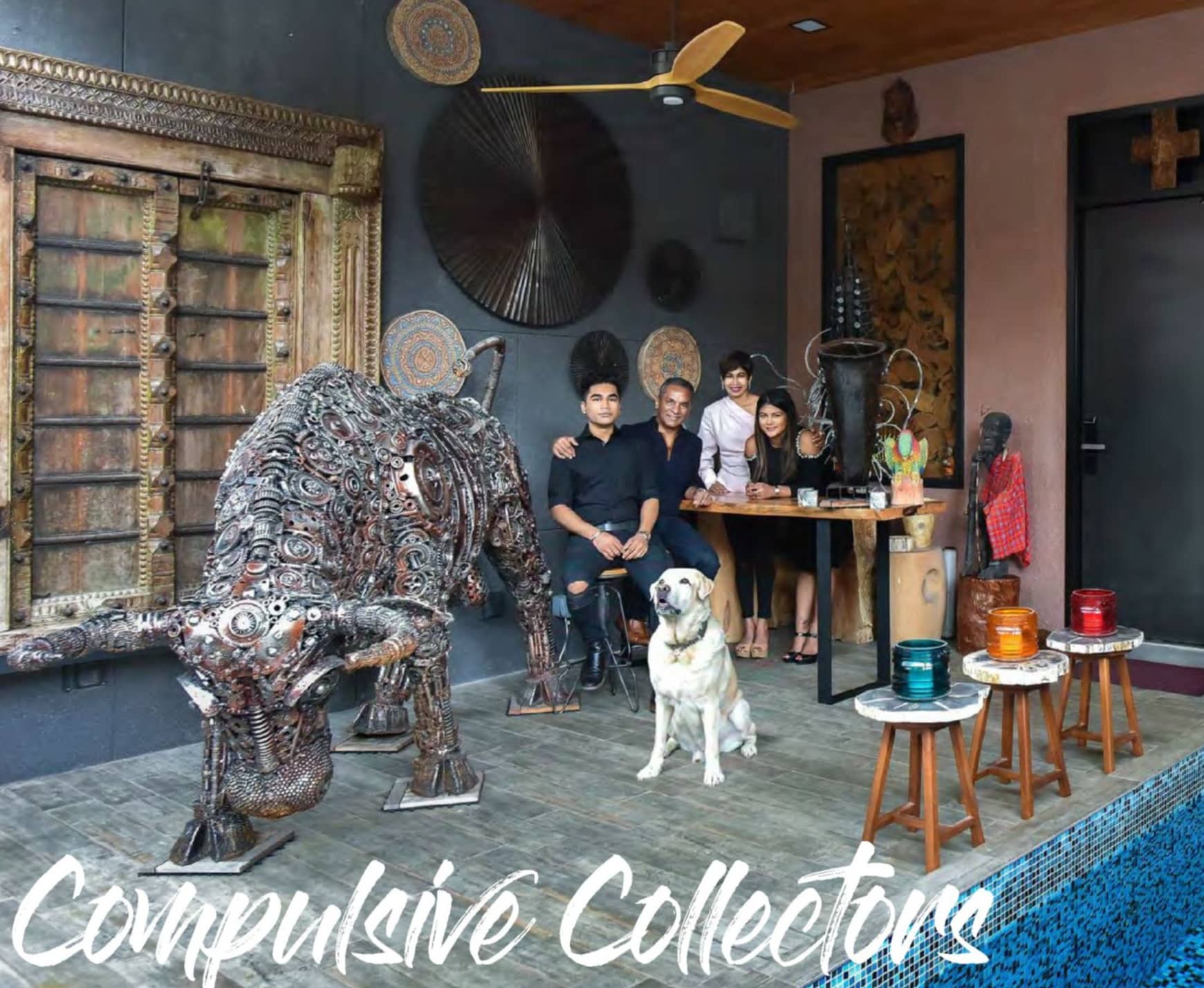 Compulsive Collectors